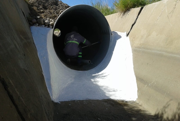 ANSL » Entubado Quines 2